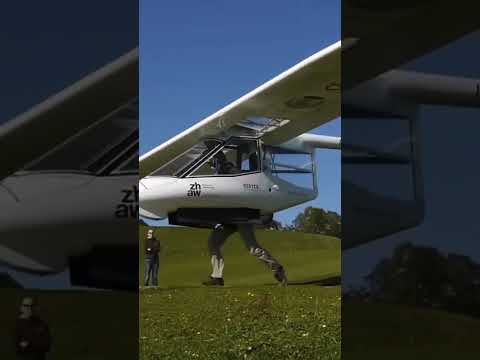 Archaeopteryx Glider by Ruppert Composite