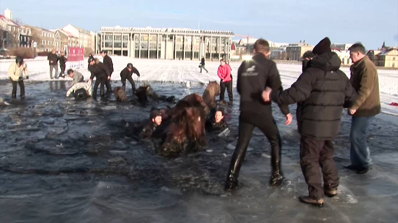 Weather Gone Viral: Ponies On Ice
