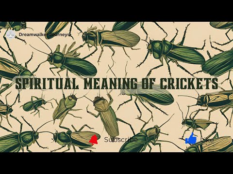 Spiritual Meaning of Crickets | Cricket Spiritual Meaning