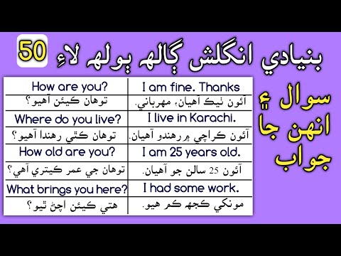 50 Questions and Answers for daily conversation with Sindhi Translation| English in Sindhi