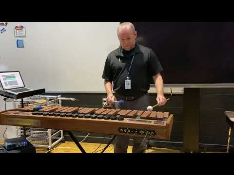 Zendrum Mallet Pro /Midi Controller | Reverb
