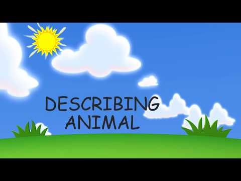 Describing animal : what animal is it?
