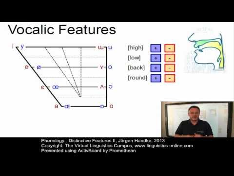 PHY104 - Distinctive Features II