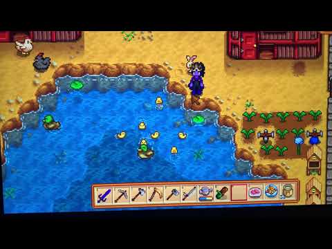 Steam Community :: Video :: Stardew Valley: baby ducks swimming with ...