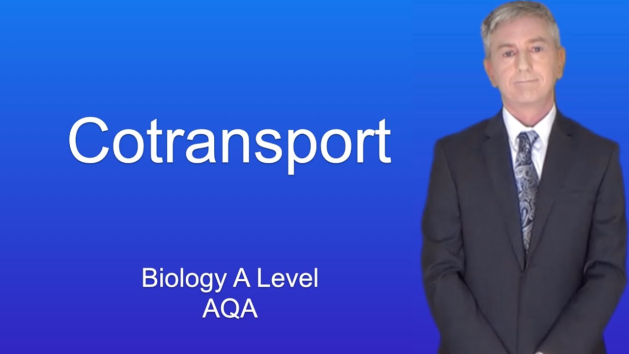 Understanding Co-Transport: A Key Mechanism in Nutrient Absorption ...