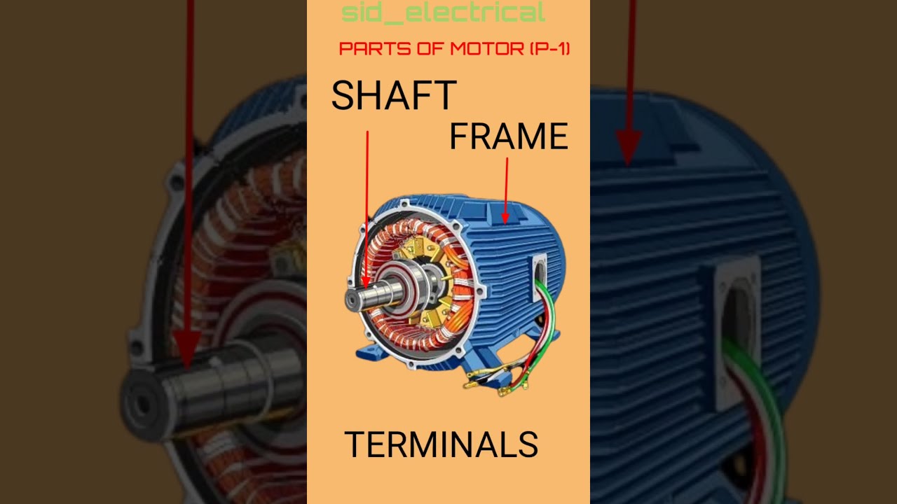 Parts of Motor. #shorts