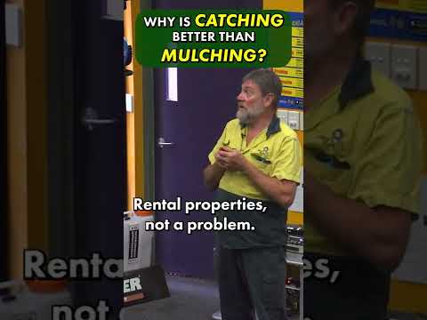 Should you catch or mulch when you mow the lawn?