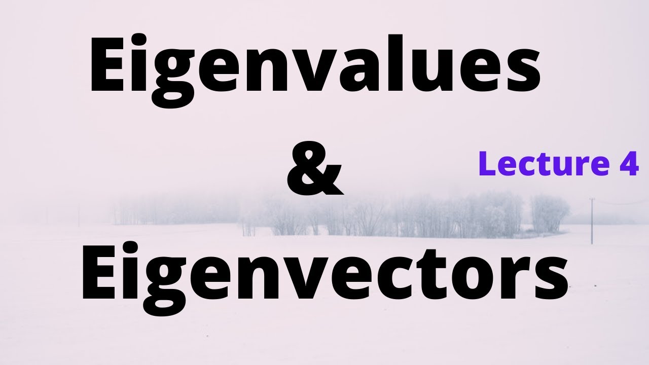 Eigenvalues & Eigenvectors | Lecture 8