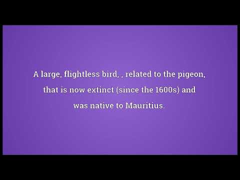 Dodo Meaning