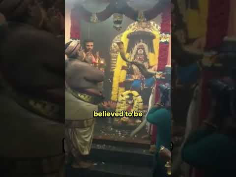 Do you Know why Indians worship Snakes?