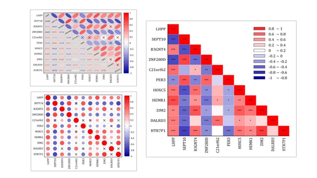 Correlation Plot App