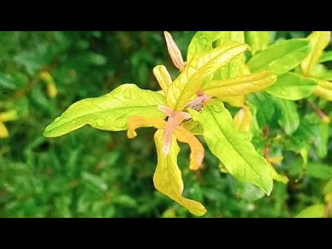 Morning meditation with sounds of nature #meditation #nature
