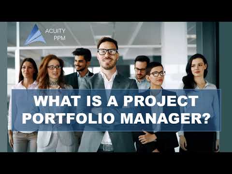 What is a Project Portfolio Manager