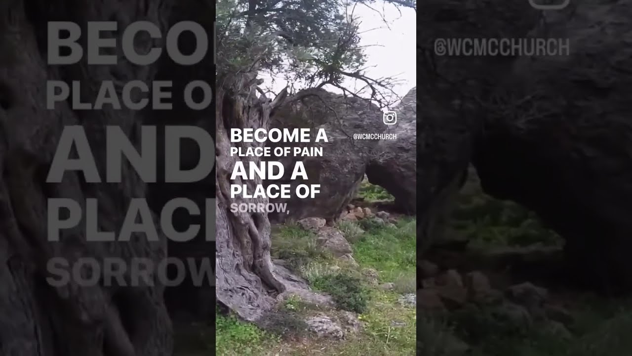 Check out the full sermon on Matthew 26:36-46 at wcmenn.org/media