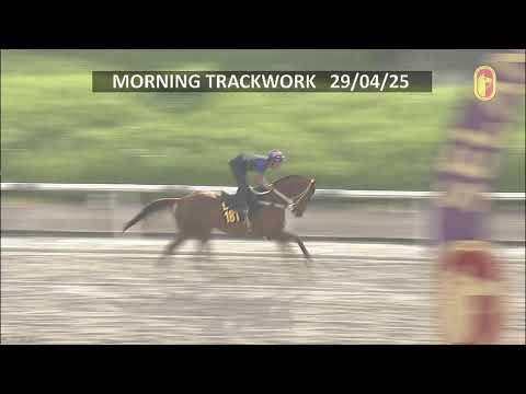 Track Work - Cam 1 (29/04/2025)