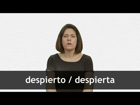 English Translation of “DESPIERTO” | Collins Spanish-English Dictionary