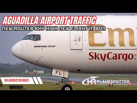 Aguadilla Puerto Rico Airport | Sky High’s New BQN Route and More!