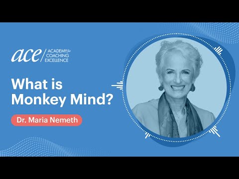 What Is Monkey Mind? 🤷♂️ Dr Maria Nemeth | Academy for Coaching Excellence