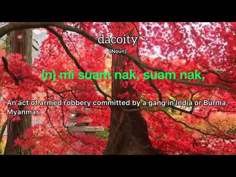 dacoity meaning in Ngawn
