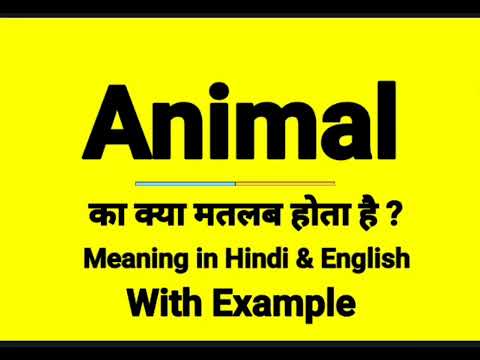 Animal Meaning in Hindi || Animal Synonyms || Animal Usage in Sentence