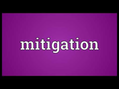Mitigation Meaning