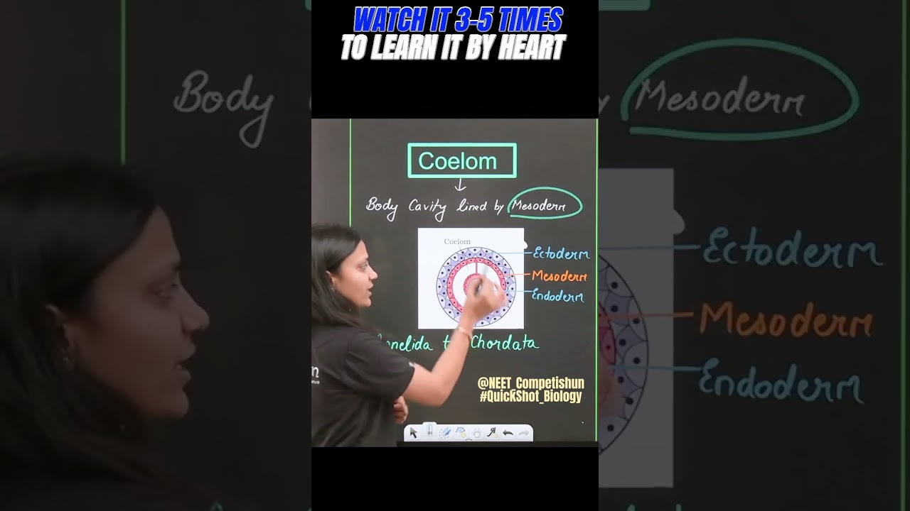 COELOM - Body Cavity Lined By mesoderm | QuickShot Biology | #neetpreparation#ncert#neet2024#biology