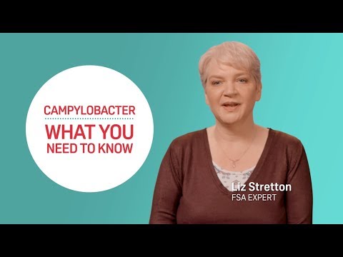 FSA Explains: Campylobacter