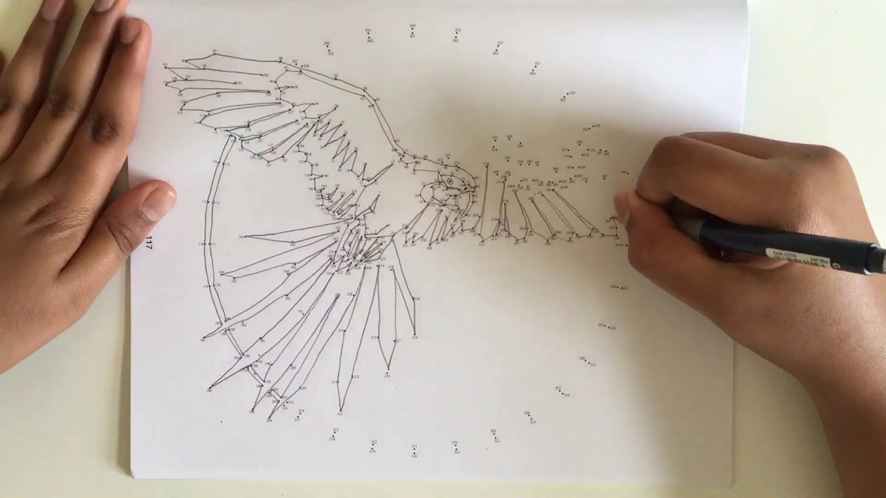 A Dot to Dot Timelapse