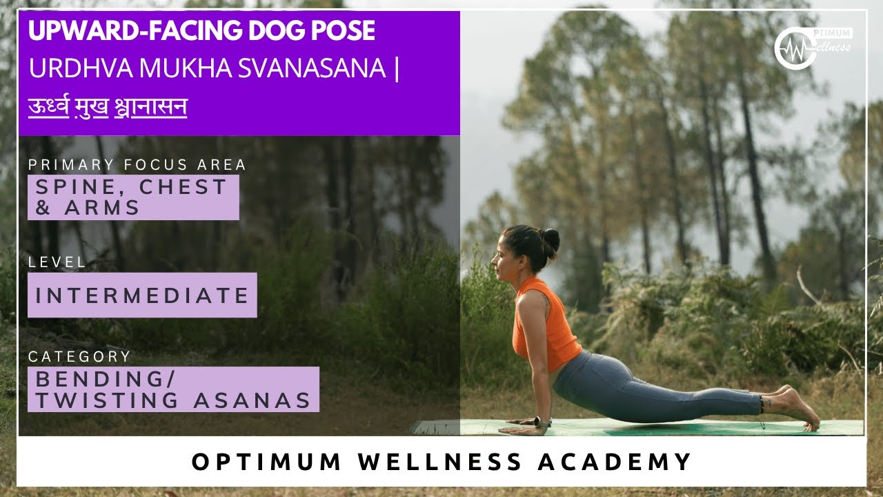 Upward Facing Dog (Urdhva Mukha Svanasana) | Rise & Energize