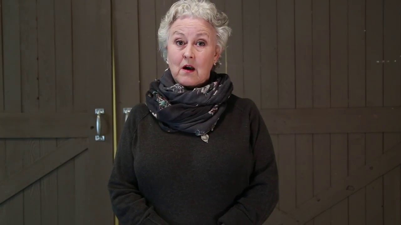 Jane Carr's Insult Challenge