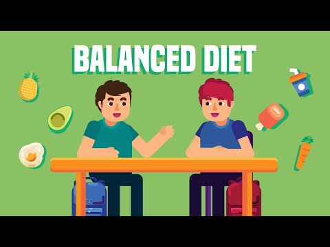 What is A Balanced Diet? | Balanced Diet Kia Hai? | Urdu/Hindi