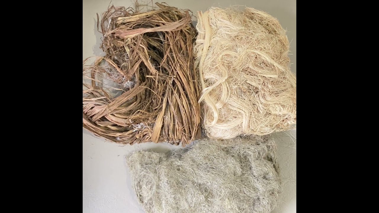 Canvaloop Fibre | F6S