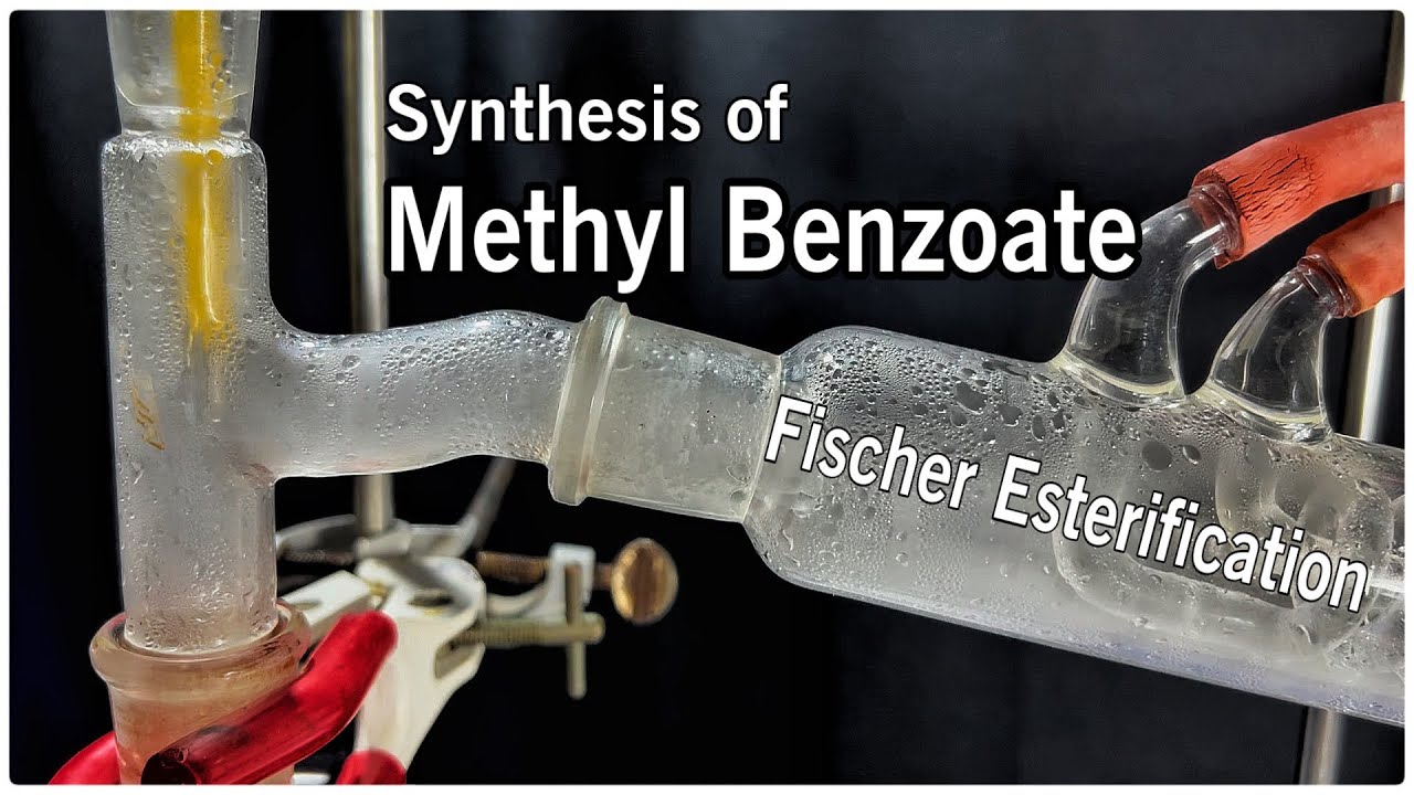 Methyl Benzoate : Organic Synthesis Fischer Esterification