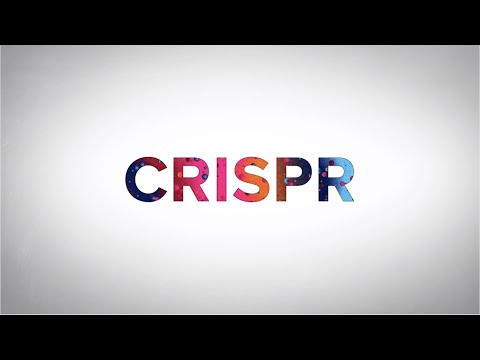 What is CRISPR? Penn Medicine Explains