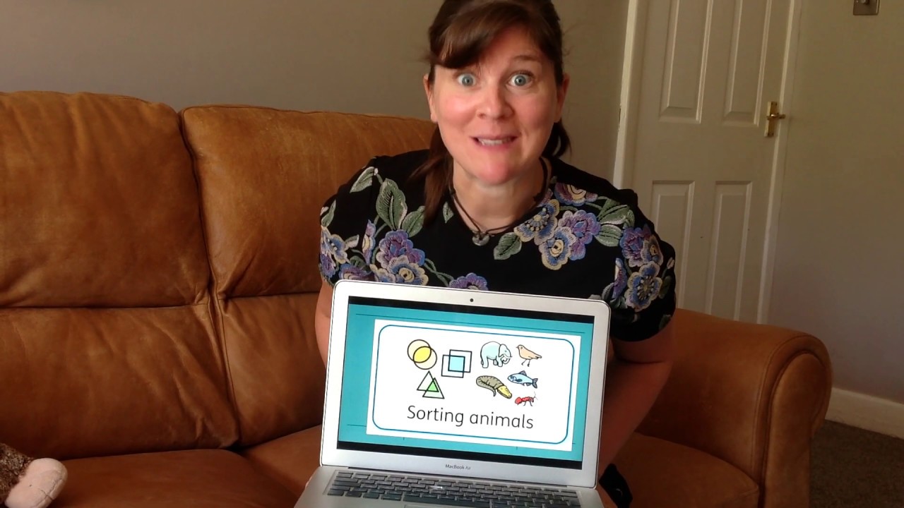 Animal Sorting Activity