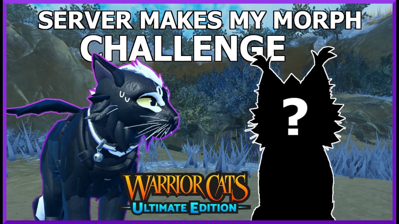 Letting a WCUE Server Make my Morph! | WCUE Morph Challenge