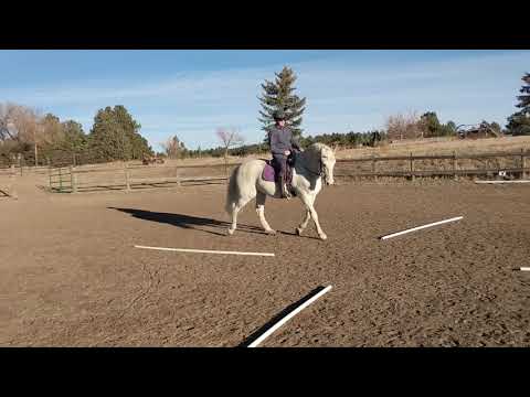 5min Exercise Circle Over Plus Sign Pole Layout