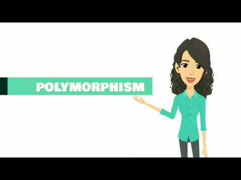What is Polymorphism? || Polymorphism explained in easier terms.