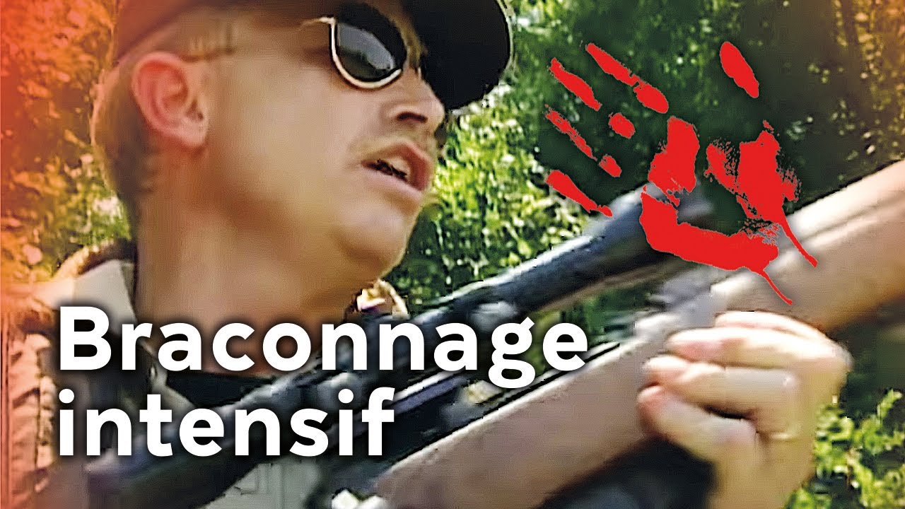 Documentaire | Braconnier sans pitié