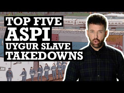 ASPI's "Uyghurs for Sale" DEBUNKED, PART 2 | Reports on China 中英字幕