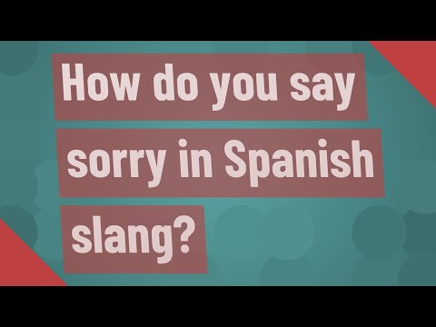 How do you say sorry in Spanish slang?