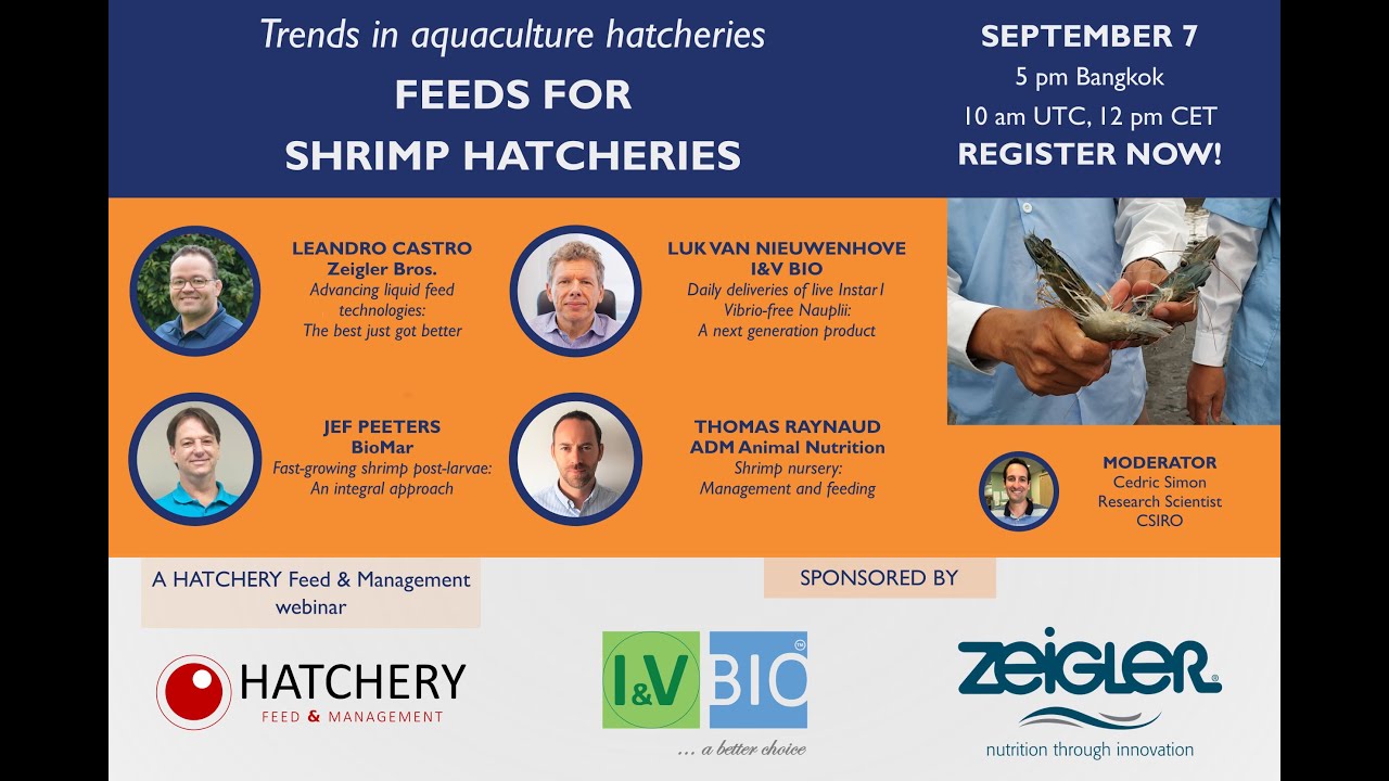 Aquafeed.com | Trends in aquaculture hatcheries: Feeds for shrimp ...