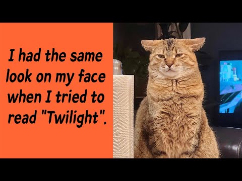 50 Adorable Cats Showing Off Their Flying Ears