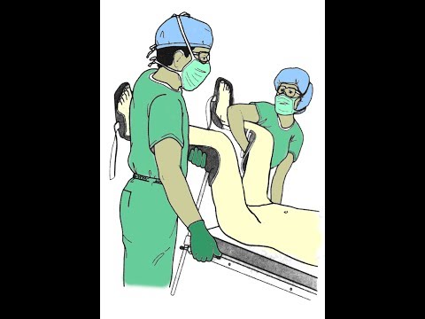 Anatomy terminologies and position in english- basic definition with diagram