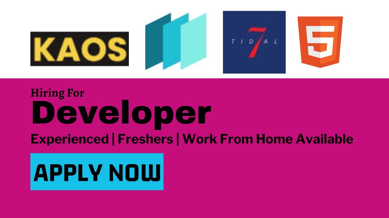 Developer || React JS || Web Developer || Work From Home Jobs || Latest Jobs 2023