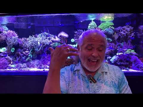 “Economist again” – KTFA Frank26 Video Update 12-14-25 | Dinar Chronicles