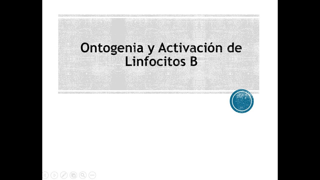 Clase del 2020.09.22: Ontogenia y Activación de Linfocitos B