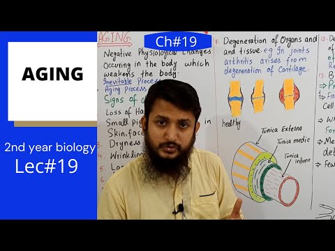 Aging, cause and signs, 2nd year biology urdu/hindi lecture/MDCAT lecture, Ch#19 | Lecture#19