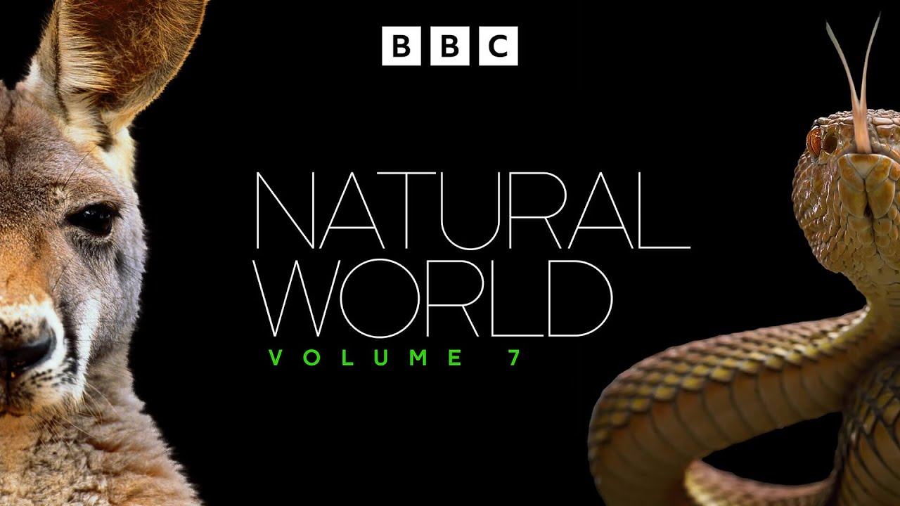 Natural World Vol. 7 | BBC Select