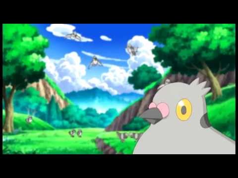 Best Wishes Abridged (One-Shot)